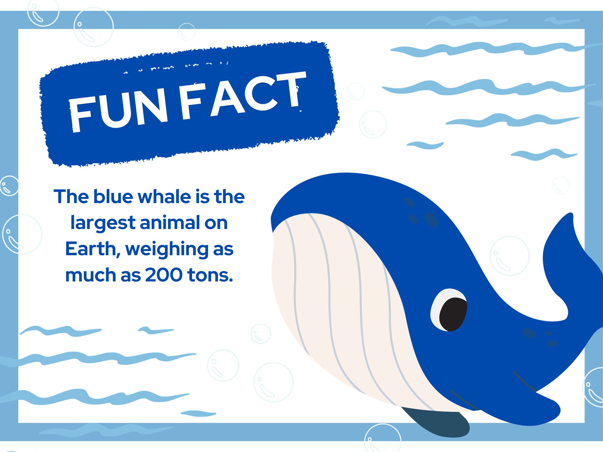 50 Animal Fact Poster, for Children Classroom Wall Decor Digital ...