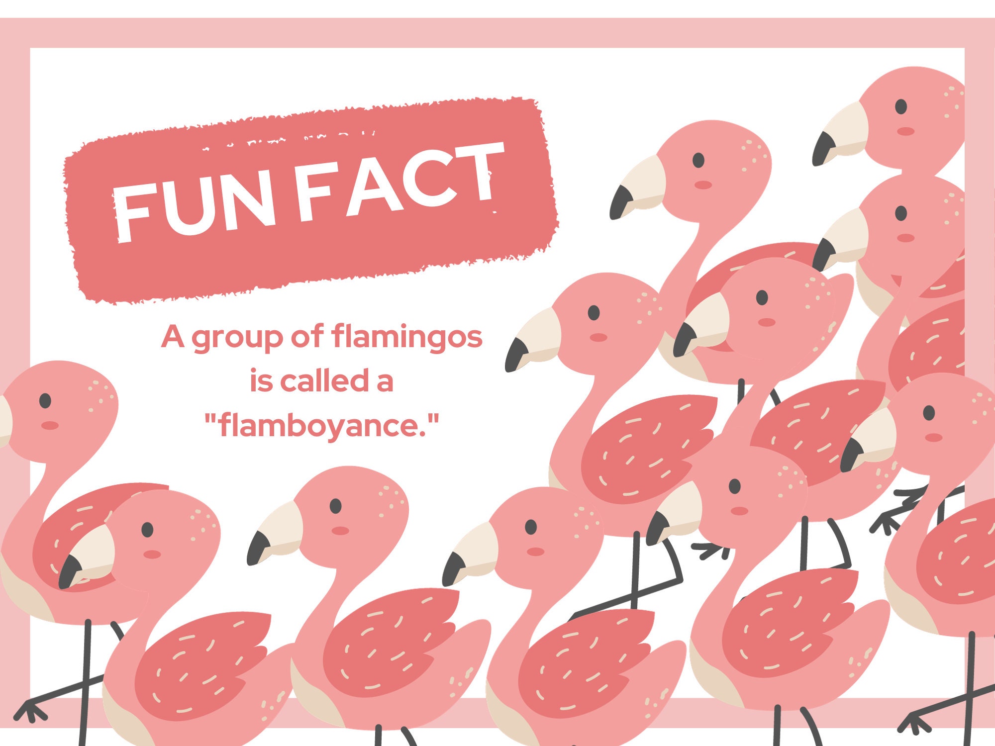 50 Animal Fact Poster, for Children Classroom Wall Decor Digital ...