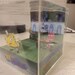 Spongebob Meme 2 Nostalgia Cube - Etsy