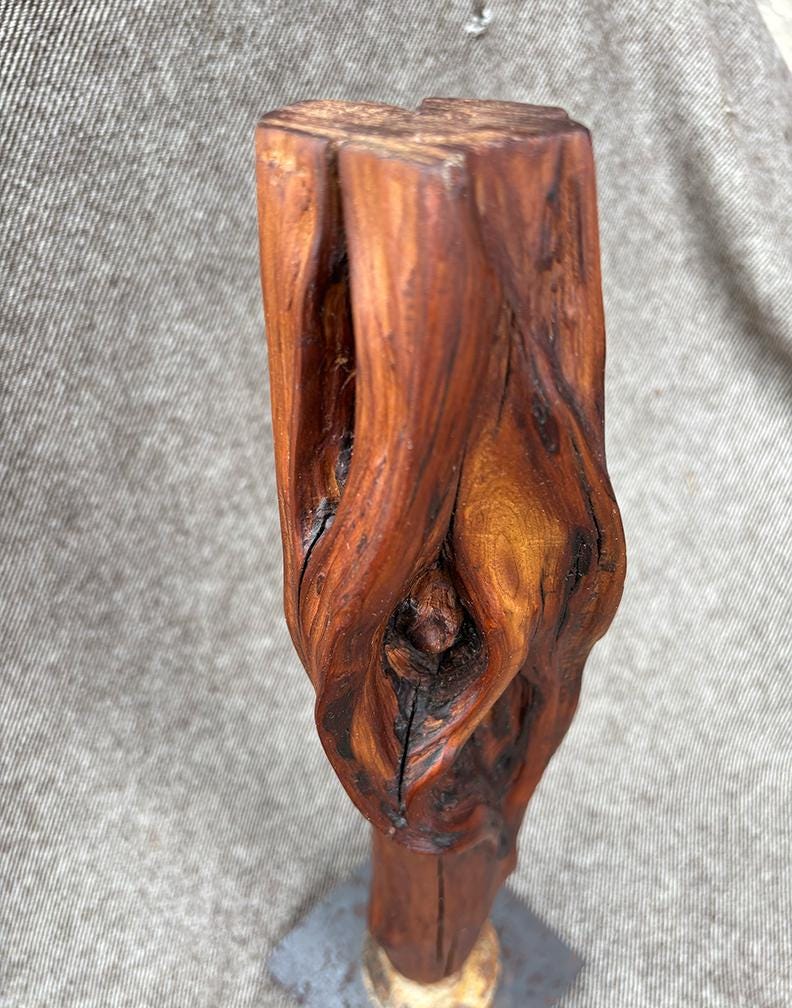 Rare Beautiful Diamond Willow - Etsy
