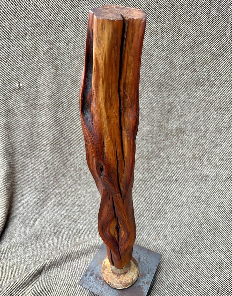 Rare Beautiful Diamond Willow - Etsy