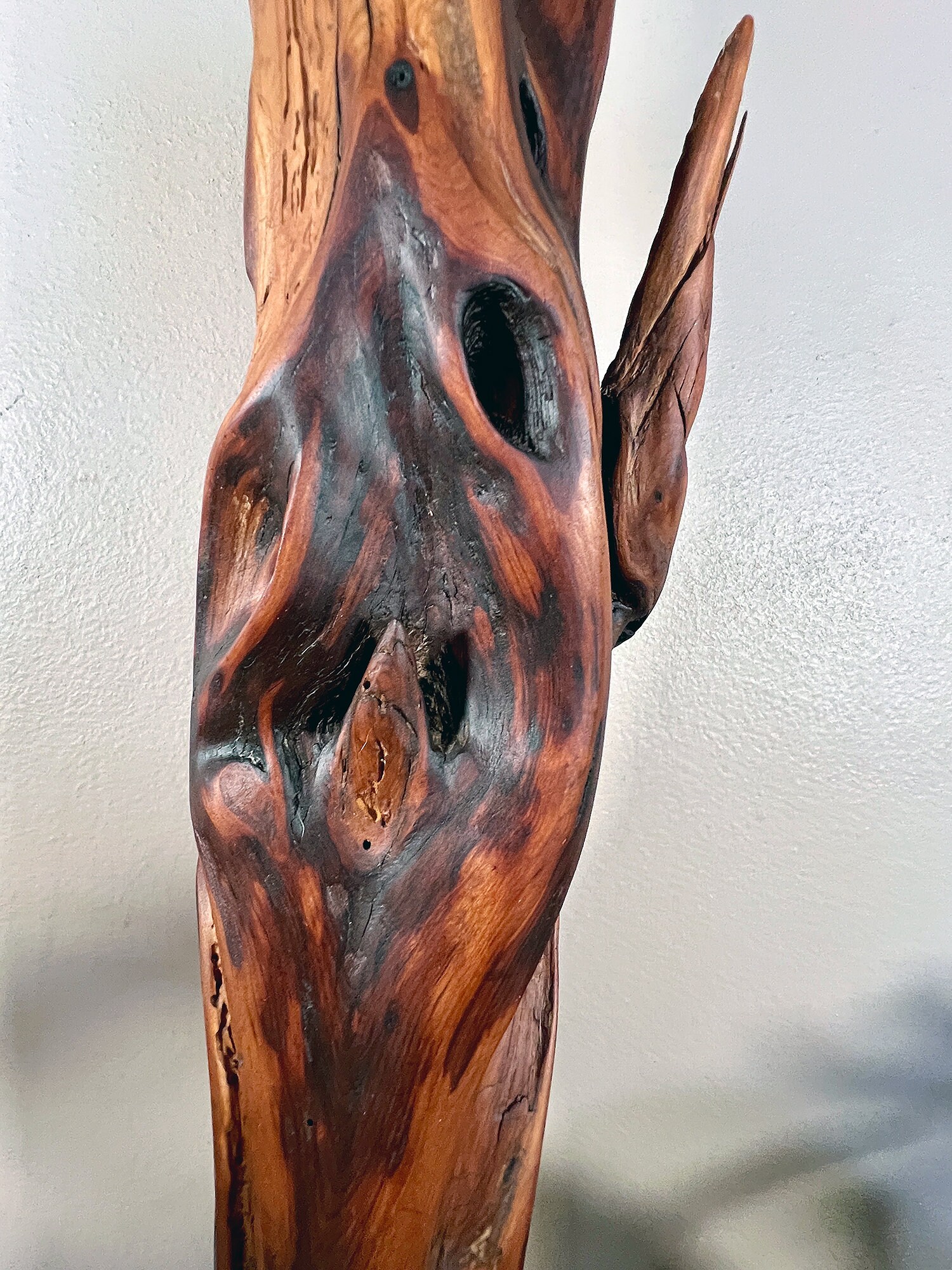 Diamond Willow Very Unique - Etsy