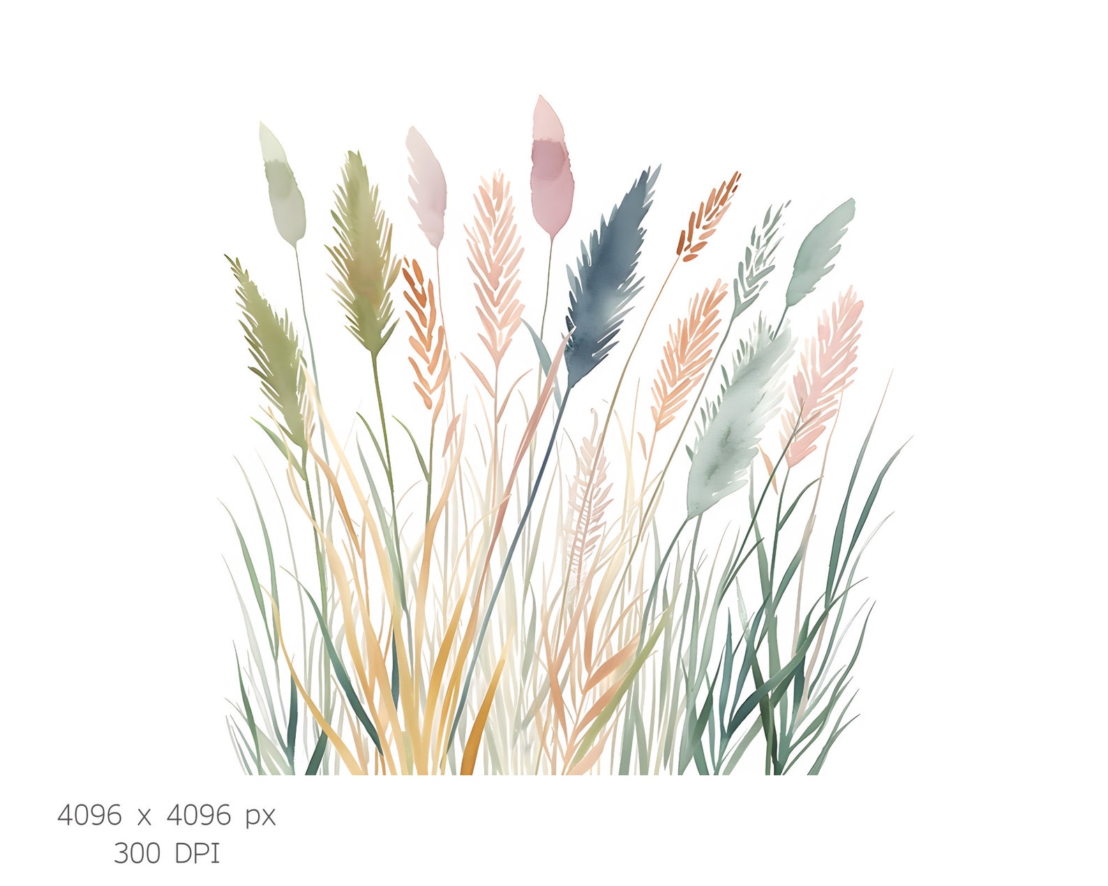 Water Color Grass Clipart, Set of 5, PNG, Pastel Grass, Botanical ...