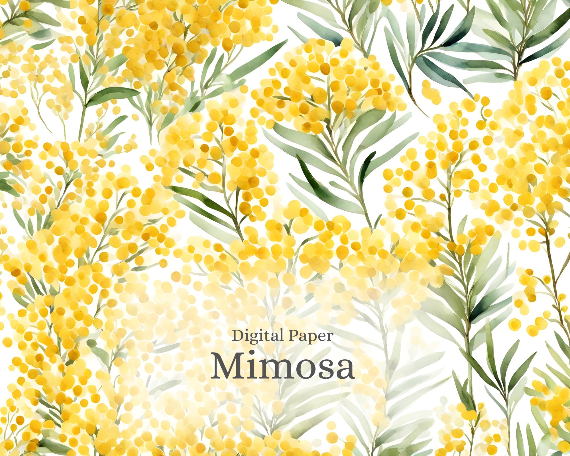 Watercolor Illustration, Mimosa, High Quality JPG - Etsy