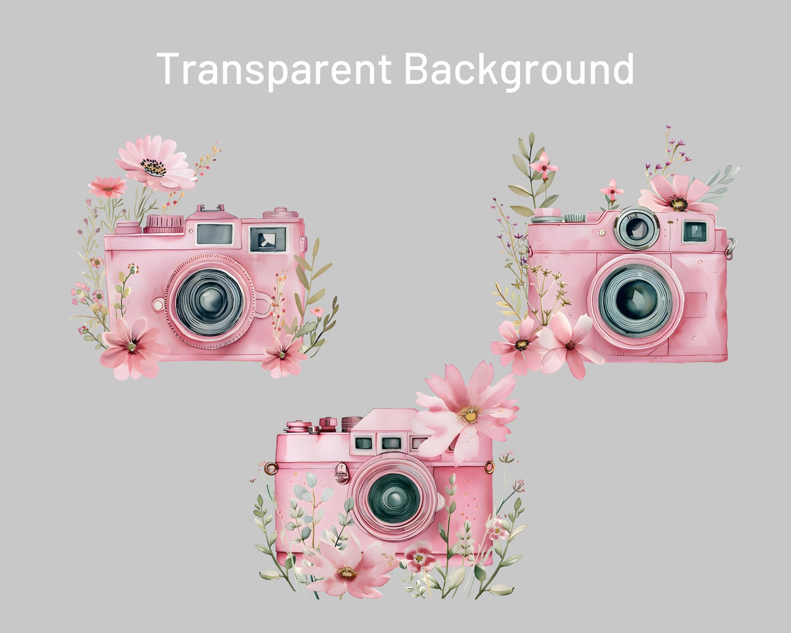 Pink Camera Clipart, Set of 3, PNG, Instant Digital Download ...