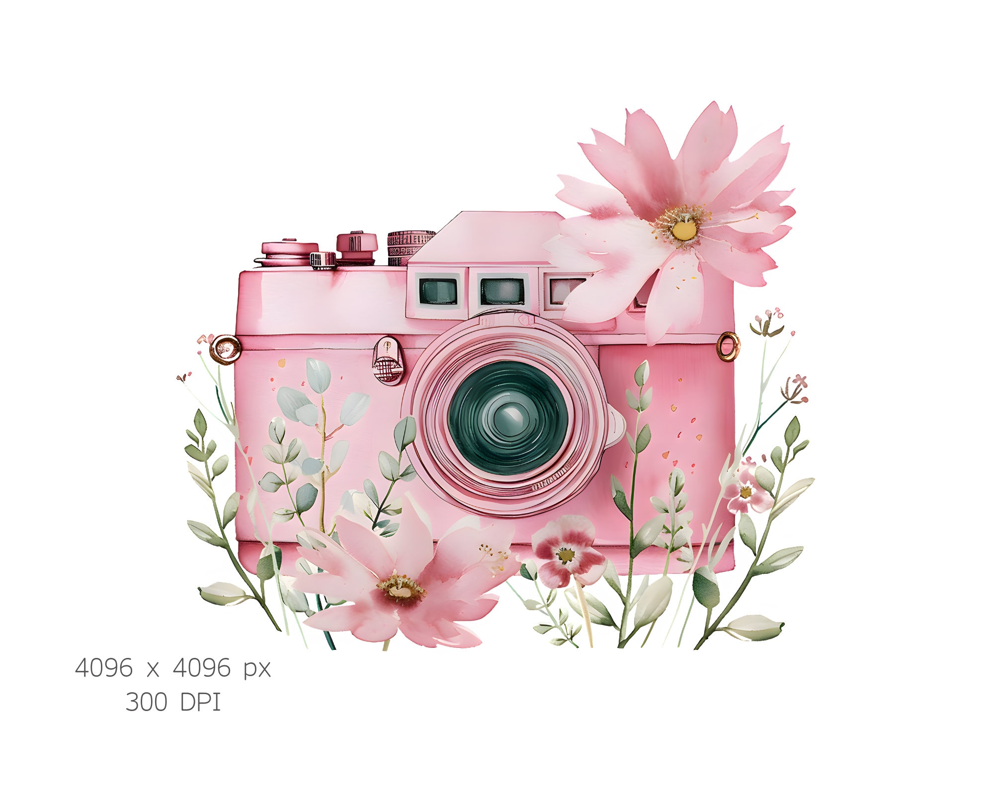 Pink Camera Clipart, Set of 3, PNG, Instant Digital Download ...