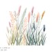 Water Color Grass Clipart, Set of 5, PNG, Pastel Grass, Botanical ...