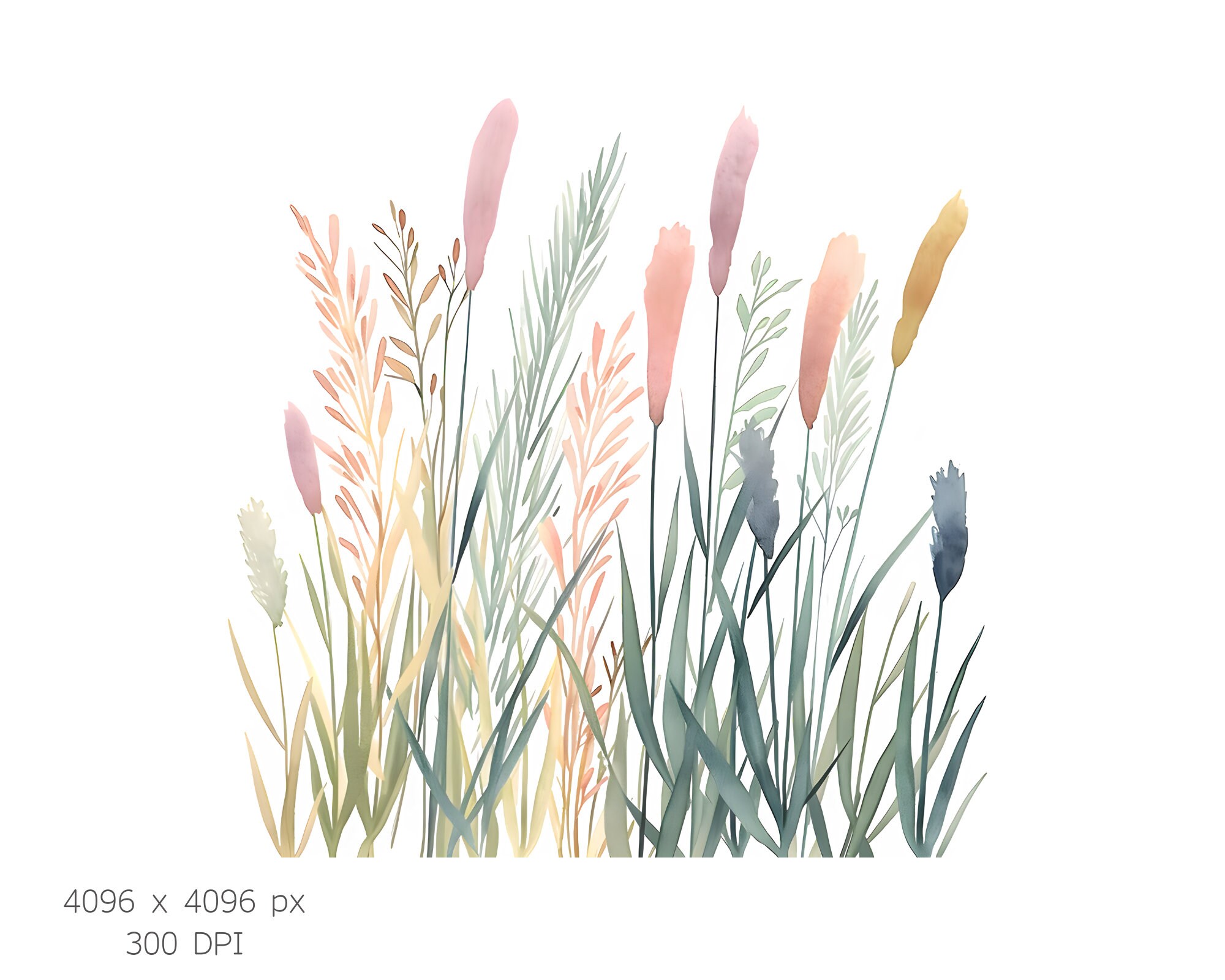 Water Color Grass Clipart, Set of 5, PNG, Pastel Grass, Botanical ...