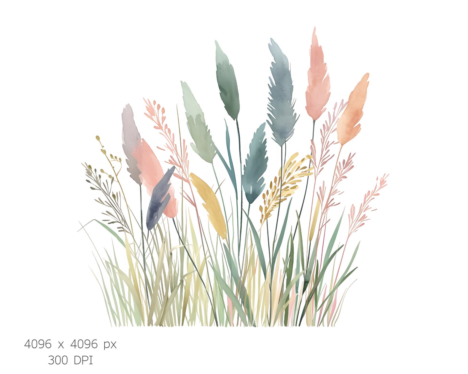 Water Color Grass Clipart, Set of 5, PNG, Pastel Grass, Botanical ...