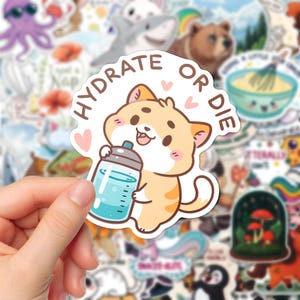Drink Water Cat Meme Sticker - Funny Hydration Reminder - Kawaii Vinyl ...