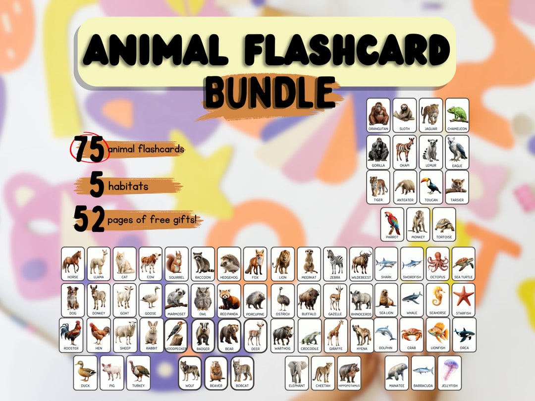 Animals Flashcard for Kids Flashcard Animals Montessori - Etsy