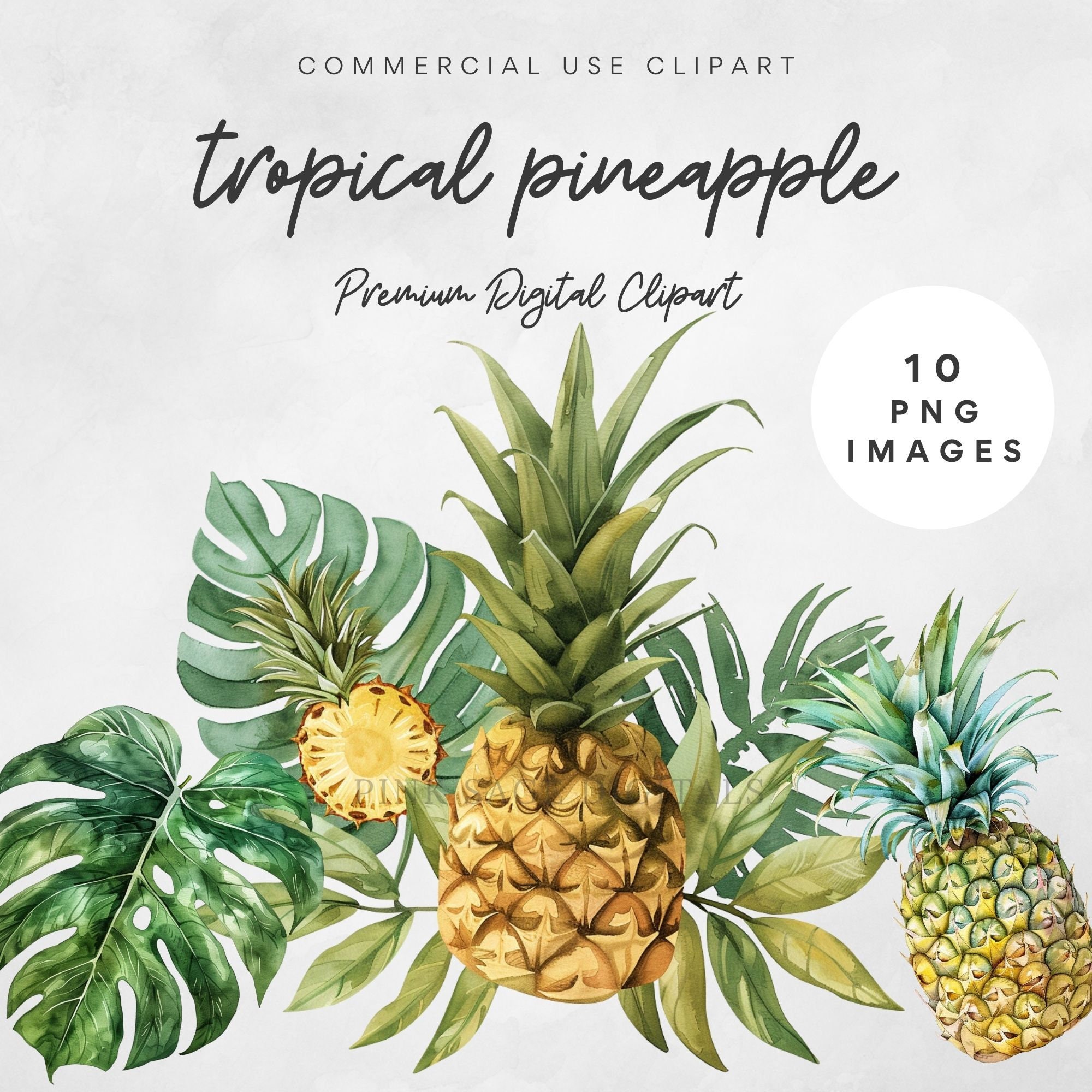 Tropical Pineapple Clip Art Tropical Leaves Monstera Clipart Mini ...