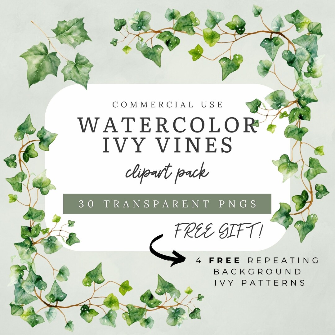 Watercolor Ivy Vines Clipart: Greenery PNG Bundle - Etsy