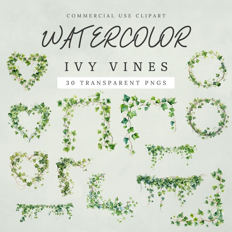 Ivy Vines Clip Art Watercolor Greenery Leaves Green Foliage Clipart ...