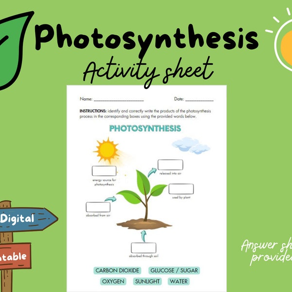 Plant Photosynthesis Worksheet - Etsy