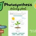 Photosynthesis Printable PDF Activity Sheet, Plant Food-making Process ...