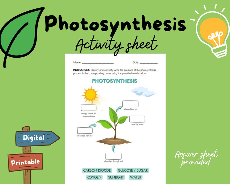 Photosynthesis Printable PDF Activity Sheet, Plant Food-making Process ...