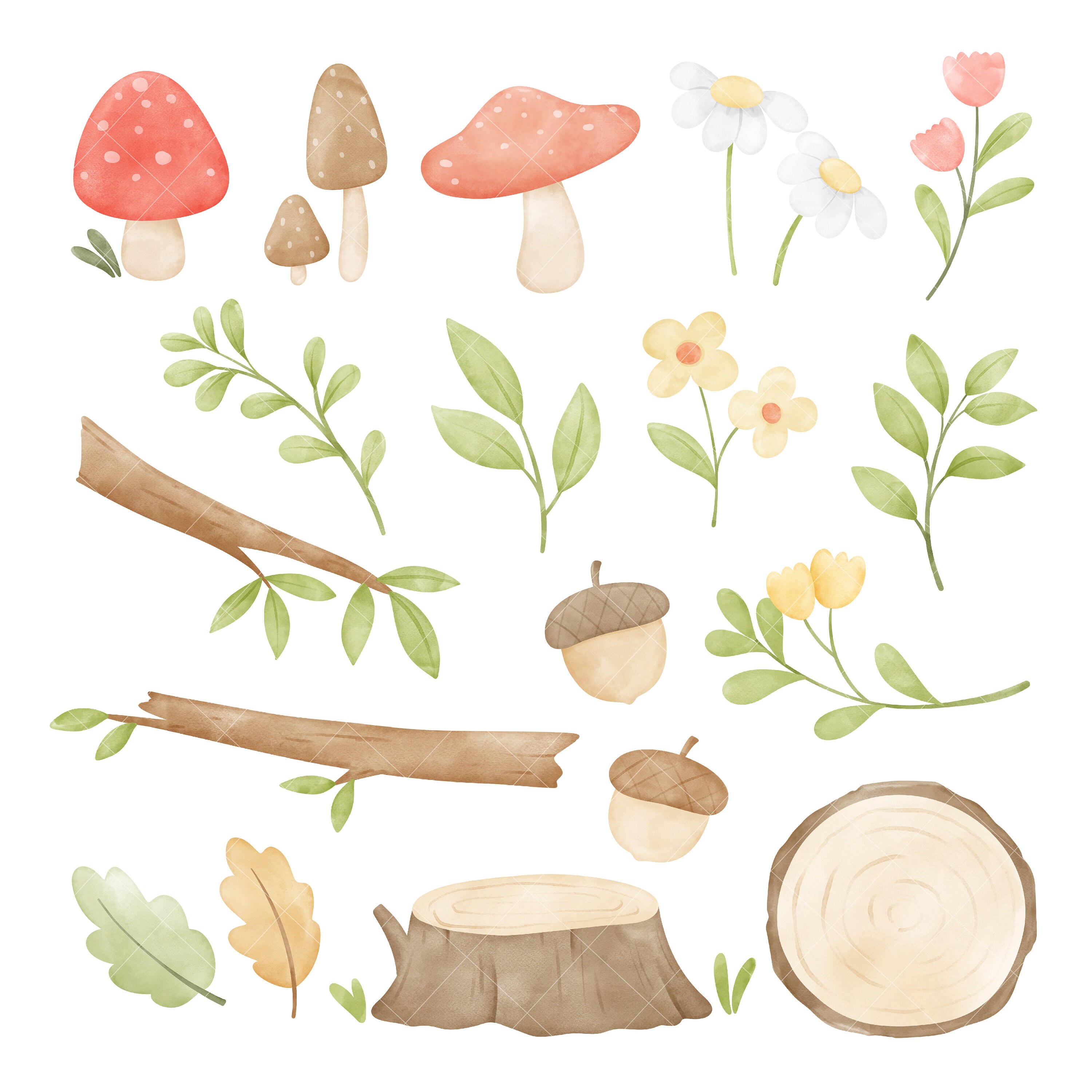 Woodland Animals Watercolor Clipart Forest Animals Clipart Nursery ...