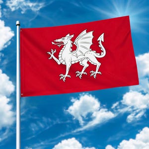 White Dragon Flag, Anglo-saxon England Flag, White Dragon of England ...