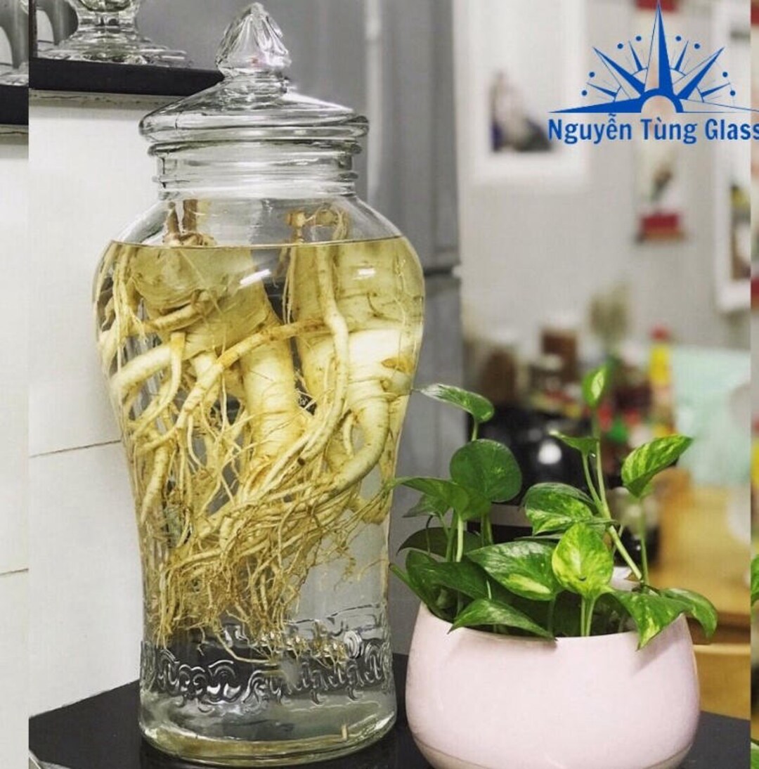 Glass Wine Soaking Vase With Rattan Base 15 Liters - Etsy