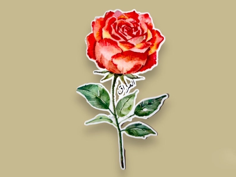 Watercolour IRAQ Flower, Red Rose Flower, IRAQI, Water Bottle Sticker ...
