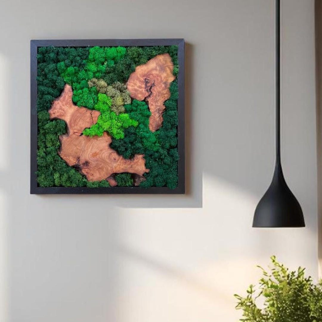 Square Moss Wall Art, Pick Your Own Wall Hanging, Metal Frame Moss Wall ...