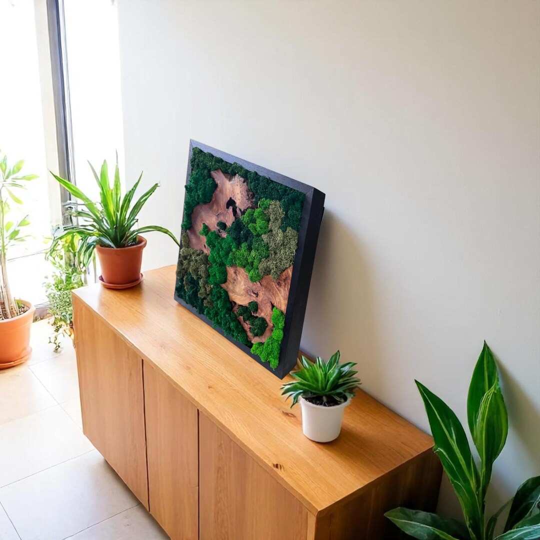 Square Moss Wall Art, Pick Your Own Wall Hanging, One of a Kind Wall ...