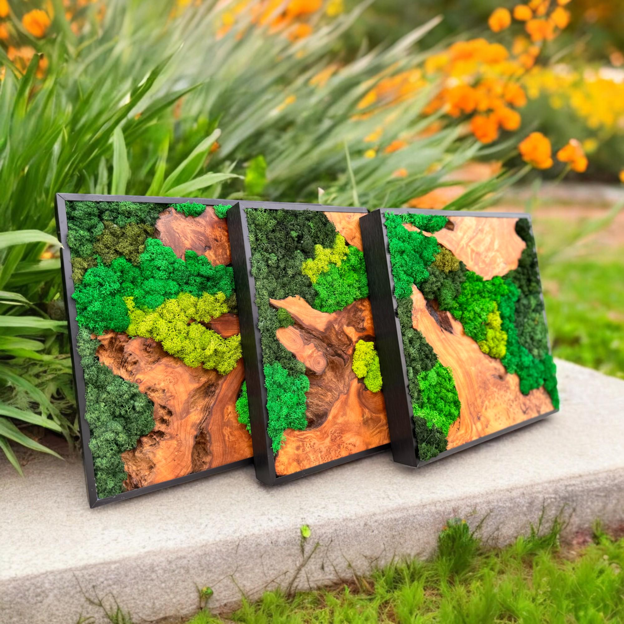 Square Moss Wall Art, Pick Your Own Wall Hanging, One of a Kind Wall ...