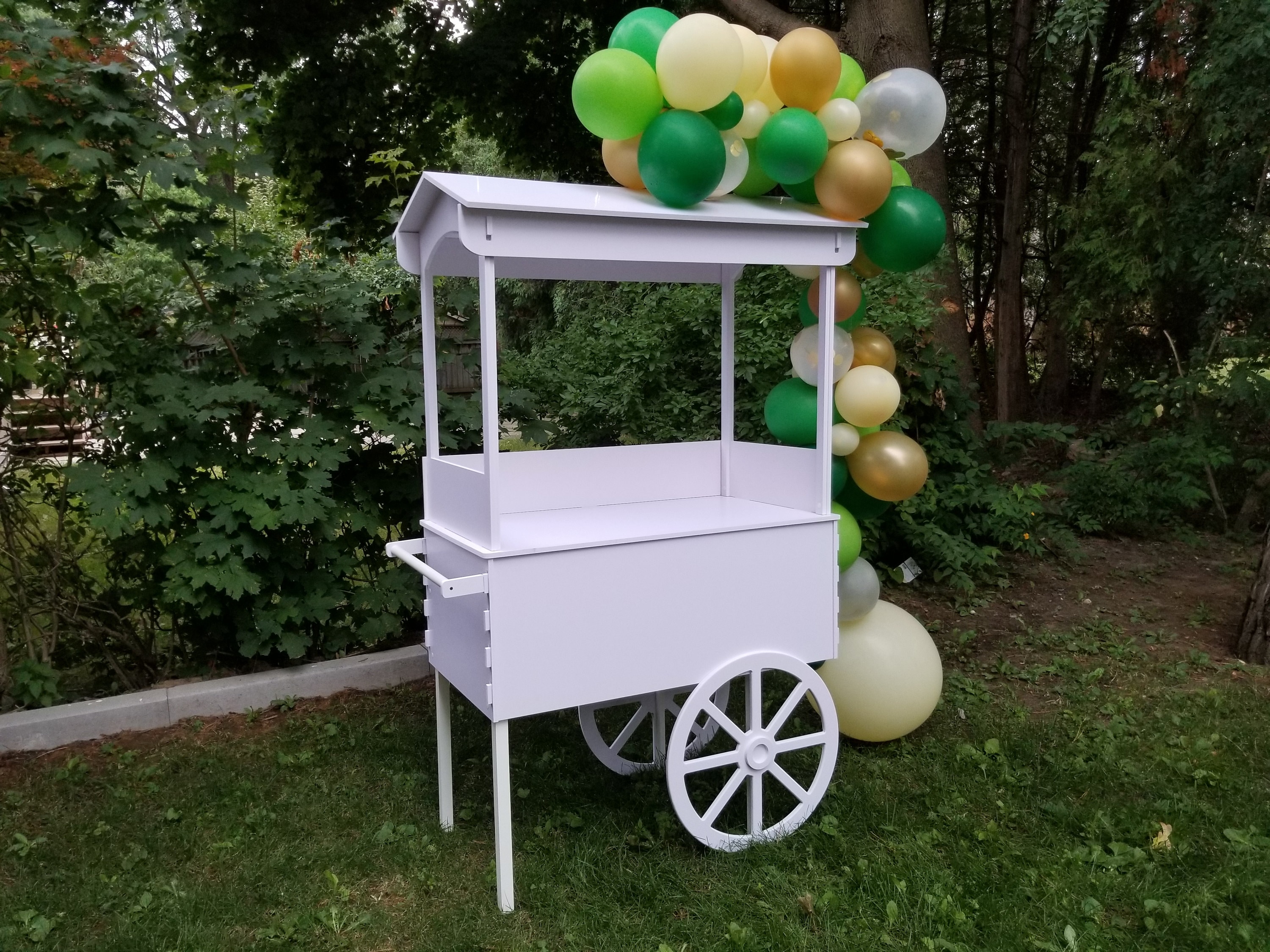 Modern Candy Cart, Birthday Decorations, Event Decor, Party Cart, Party ...