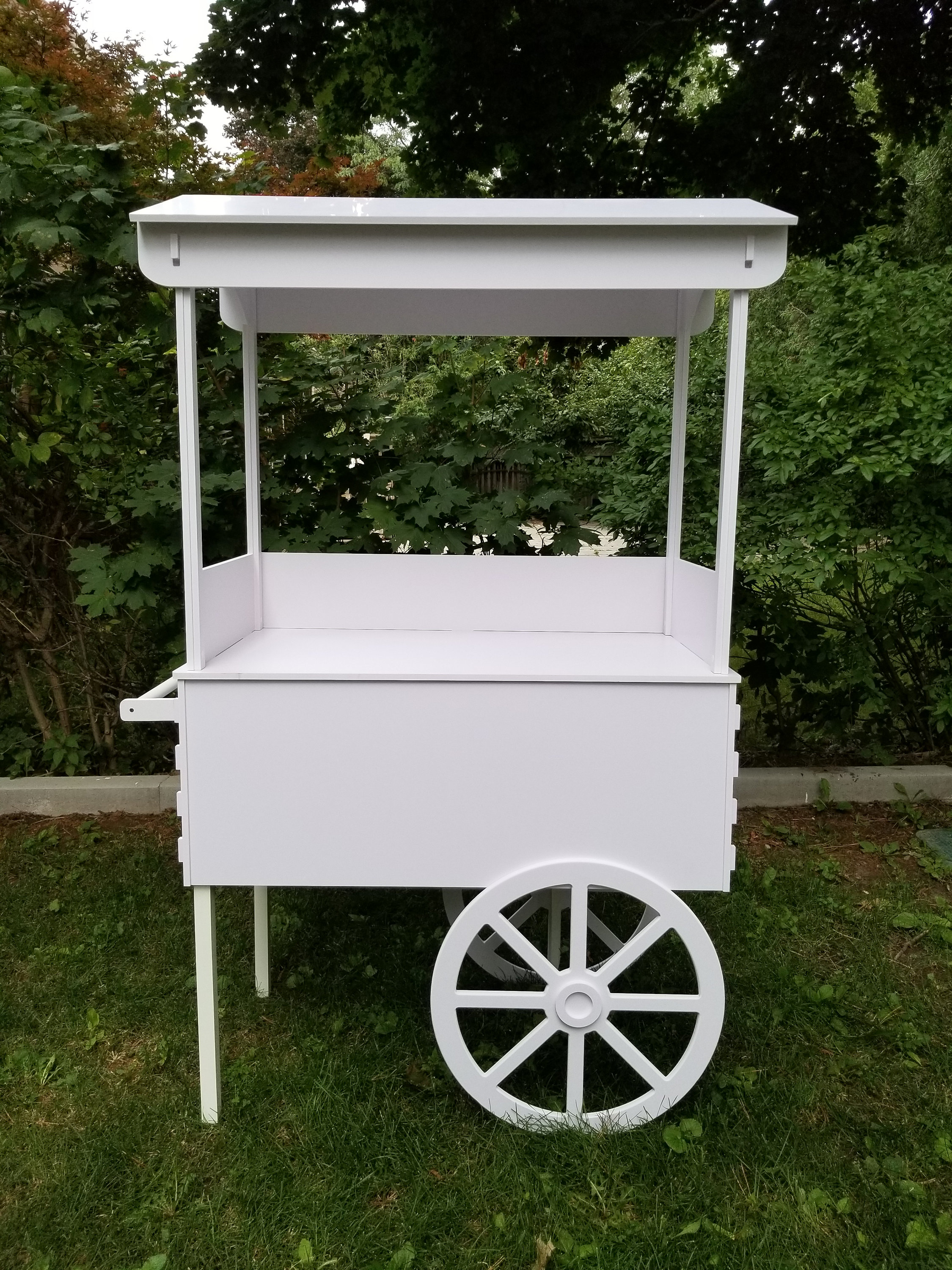Candy Cart, Modern Style Birthday Decorations, Event Decor, Party Cart ...