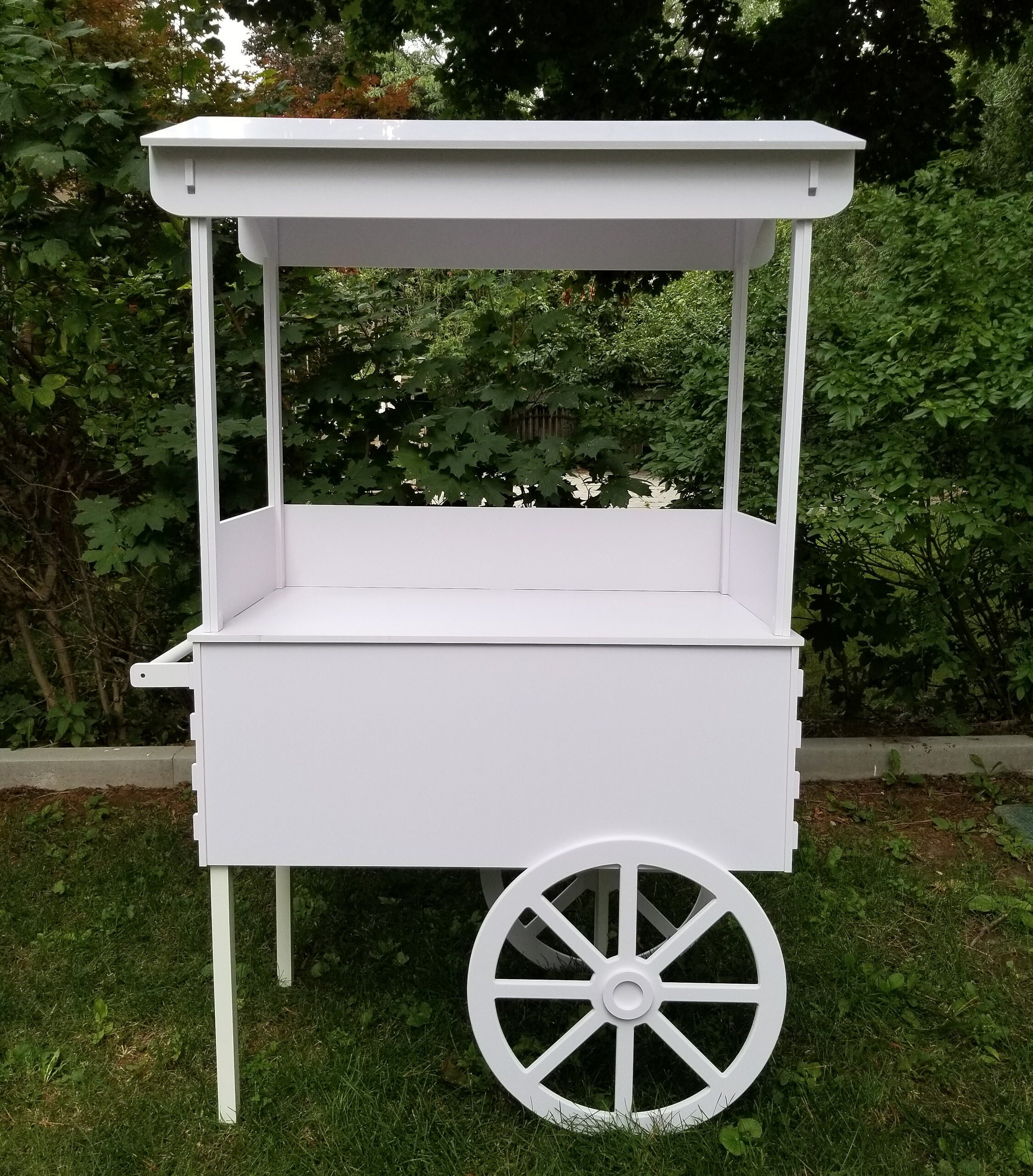 Modern Candy Cart, Birthday Decorations, Event Decor, Party Cart, Party ...