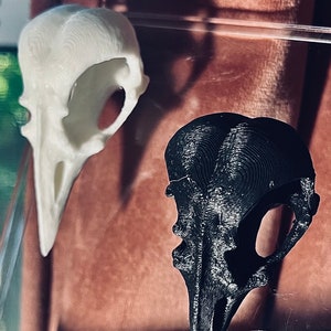 Magnetic Crow Skull Hide - Etsy