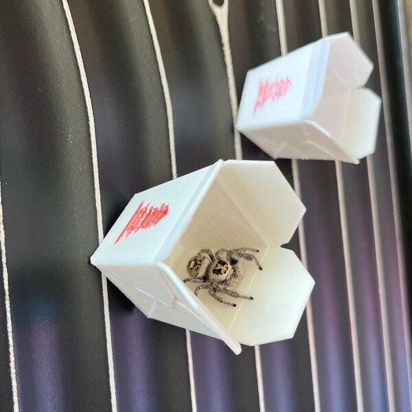 Maga Cat Hat a Maga Hat for Your Cat - Etsy