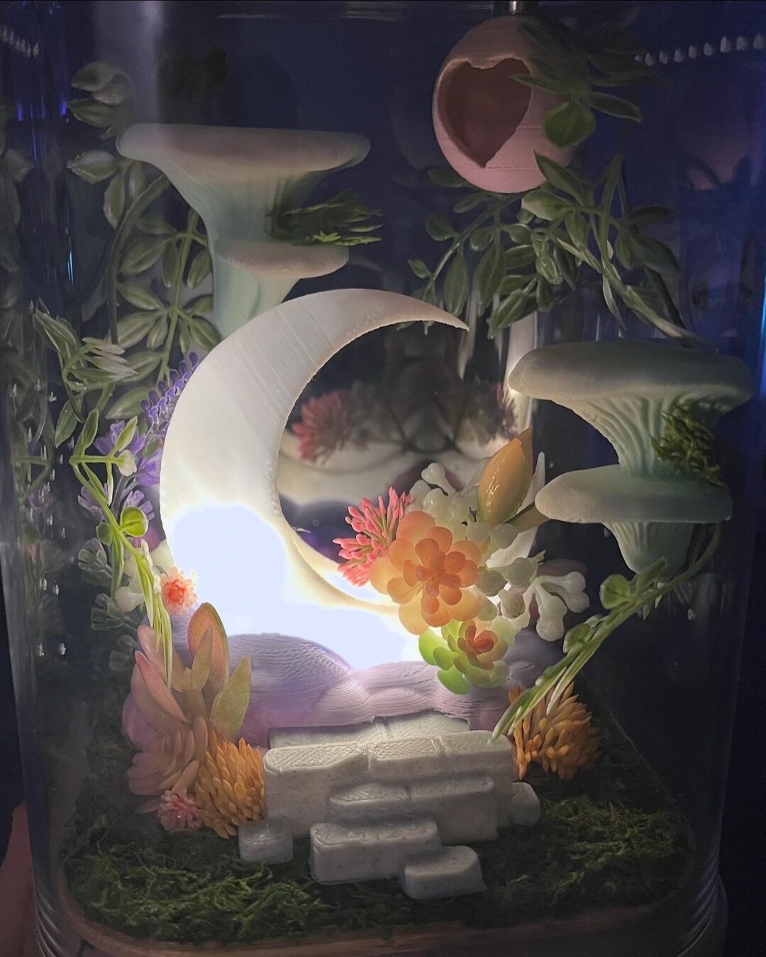 6.5x4.5 *MADE2ORDER* Glowing Sherbert Dreamland - Etsy