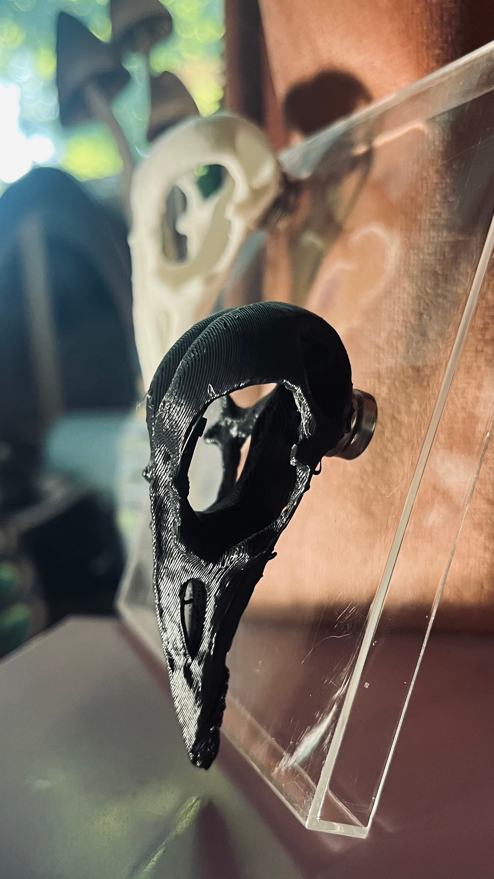 Magnetic Crow Skull Hide - Etsy