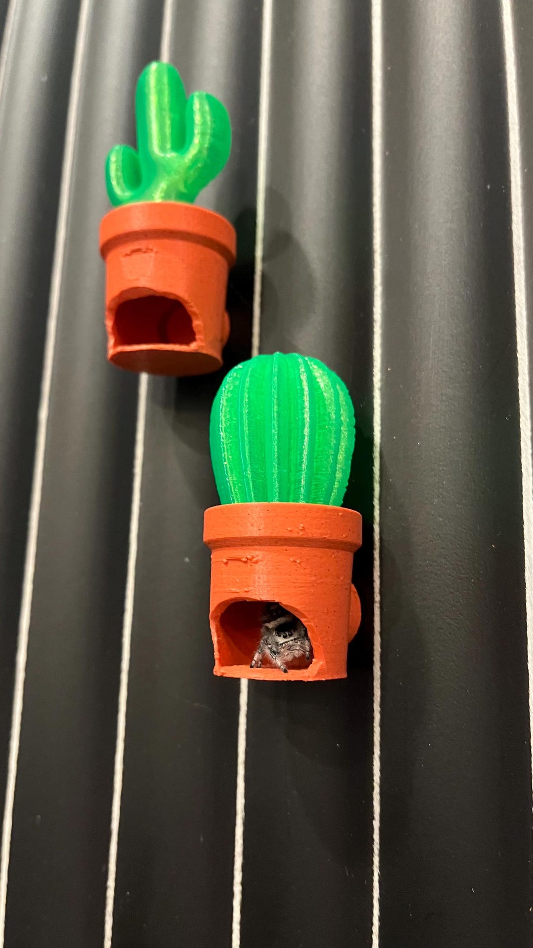 Magnetic Cactus Hide for Jumping Spiders - Etsy