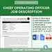 Chief Operating Officer (COO) Job Description Template, COO ...