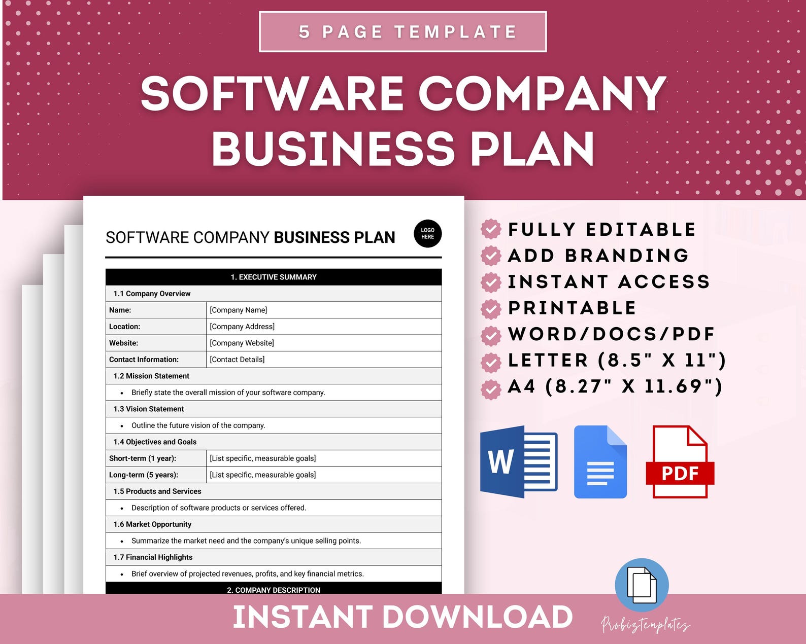 Software Company Business Plan Template, Software Startup Strategy ...