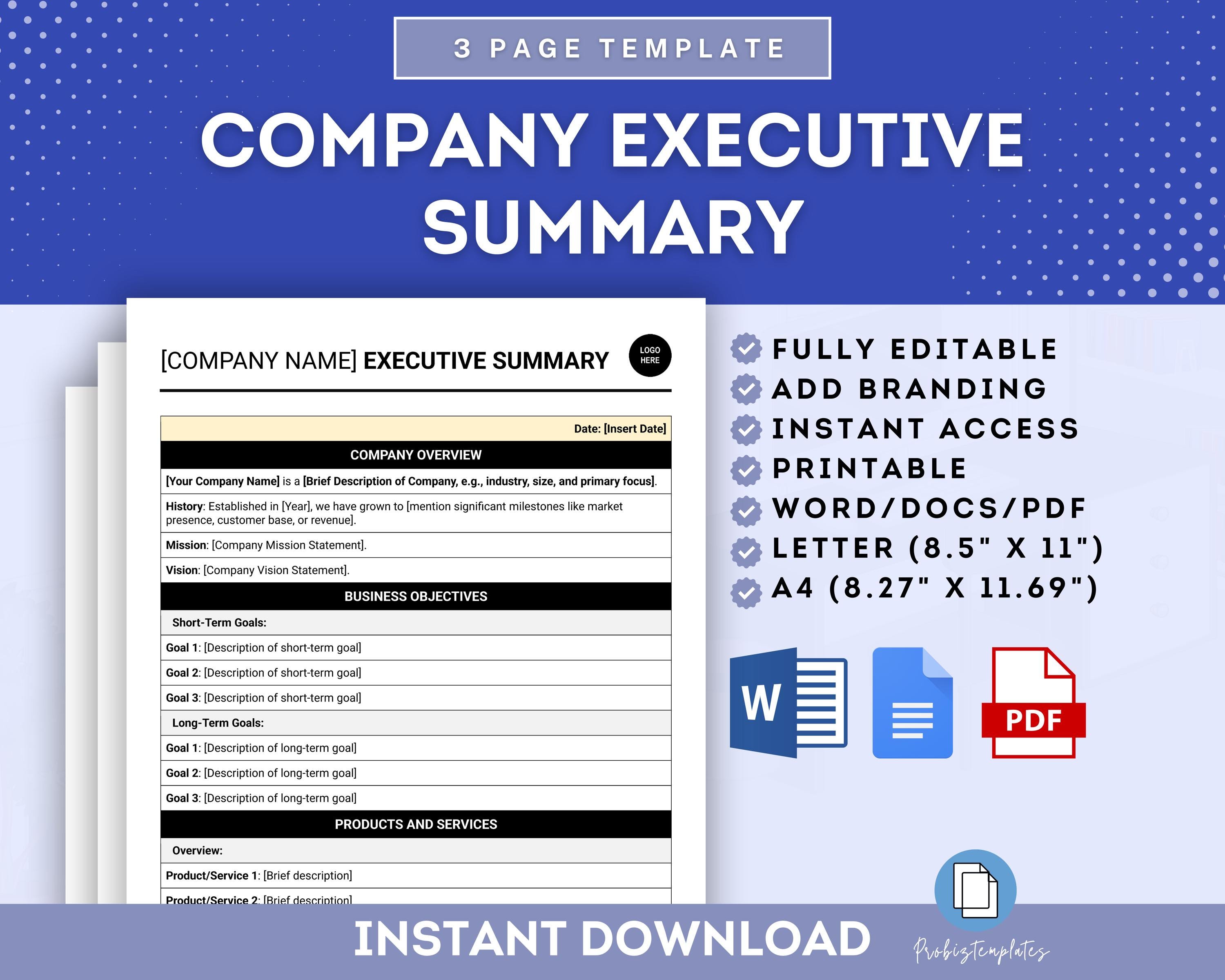 Company Executive Summary Template, Business Executive Overview ...