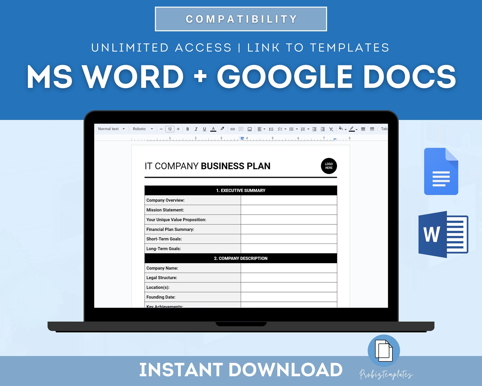 IT Company Business Plan Template, IT Business Startup Strategy Outline ...