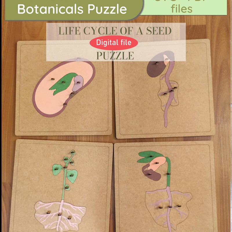 Life Cycle Puzzle - Etsy