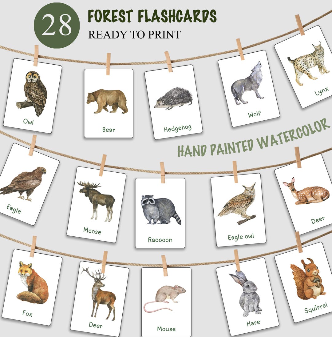 Forest Animals Flashcards: Watercolor Learning Cards PDF, Preschool ...