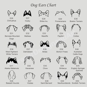 Multiple Disc Dog Ear Necklace With Paw,custom Dog Name Necklace,pet ...