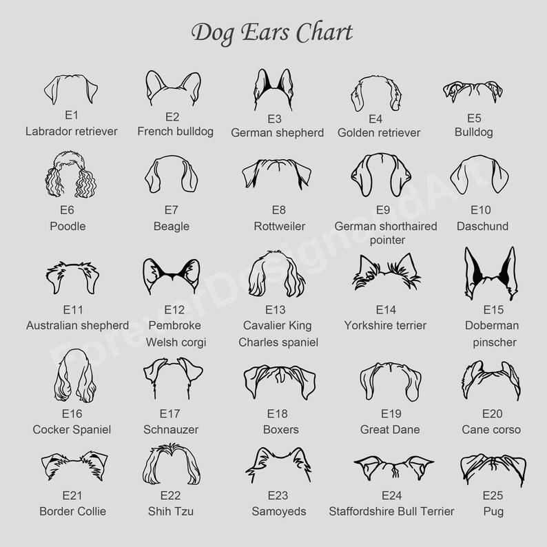 Multiple Disc Dog Ear Necklace With Paw,custom Dog Name Necklace,pet ...