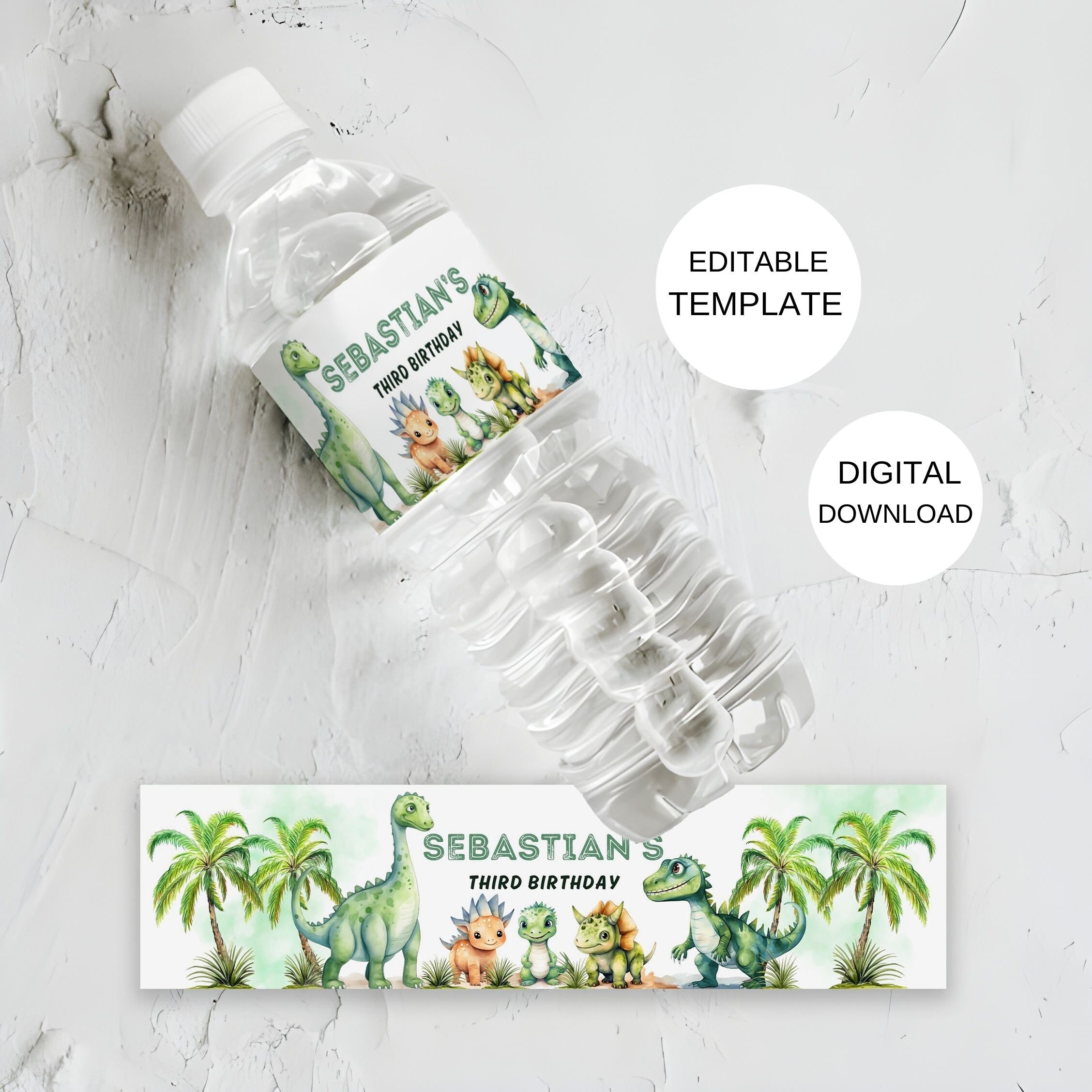 EDITABLE Dinosaur Water Bottle Label Template, Printable Kids Birthday ...