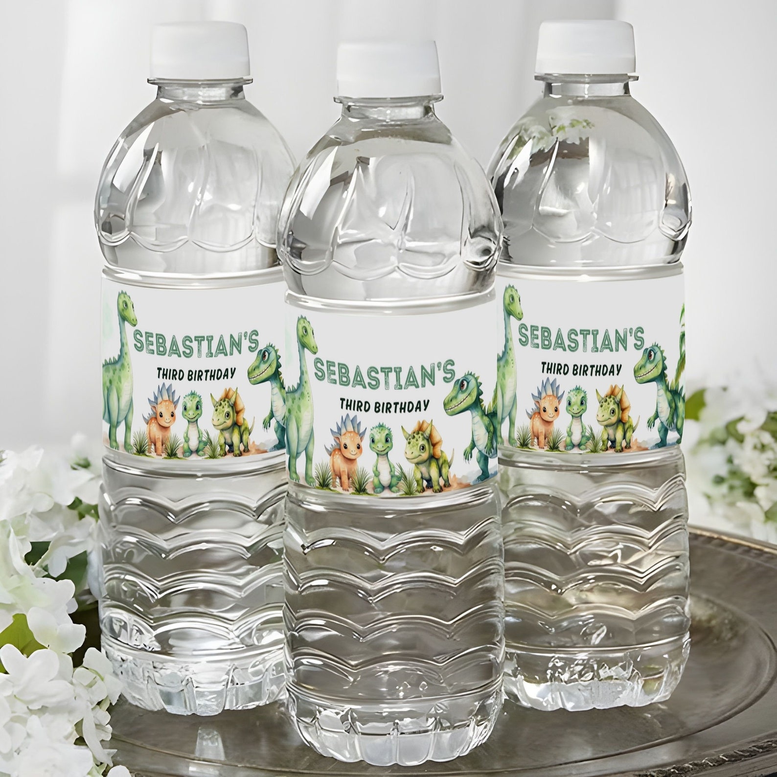 EDITABLE Dinosaur Water Bottle Label Template, Printable Kids Birthday ...