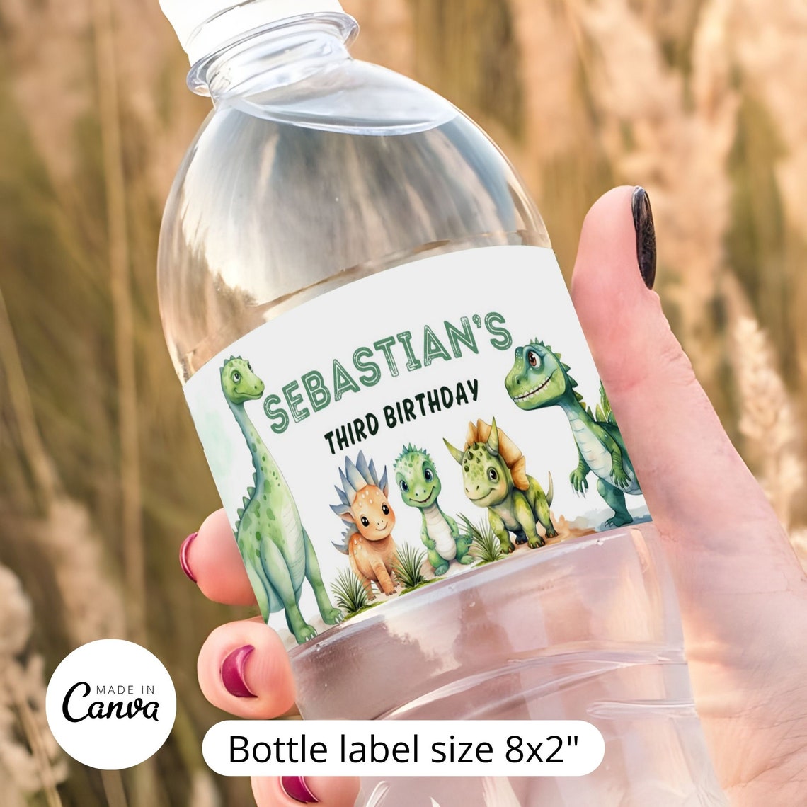 EDITABLE Dinosaur Water Bottle Label Template, Printable Kids Birthday ...