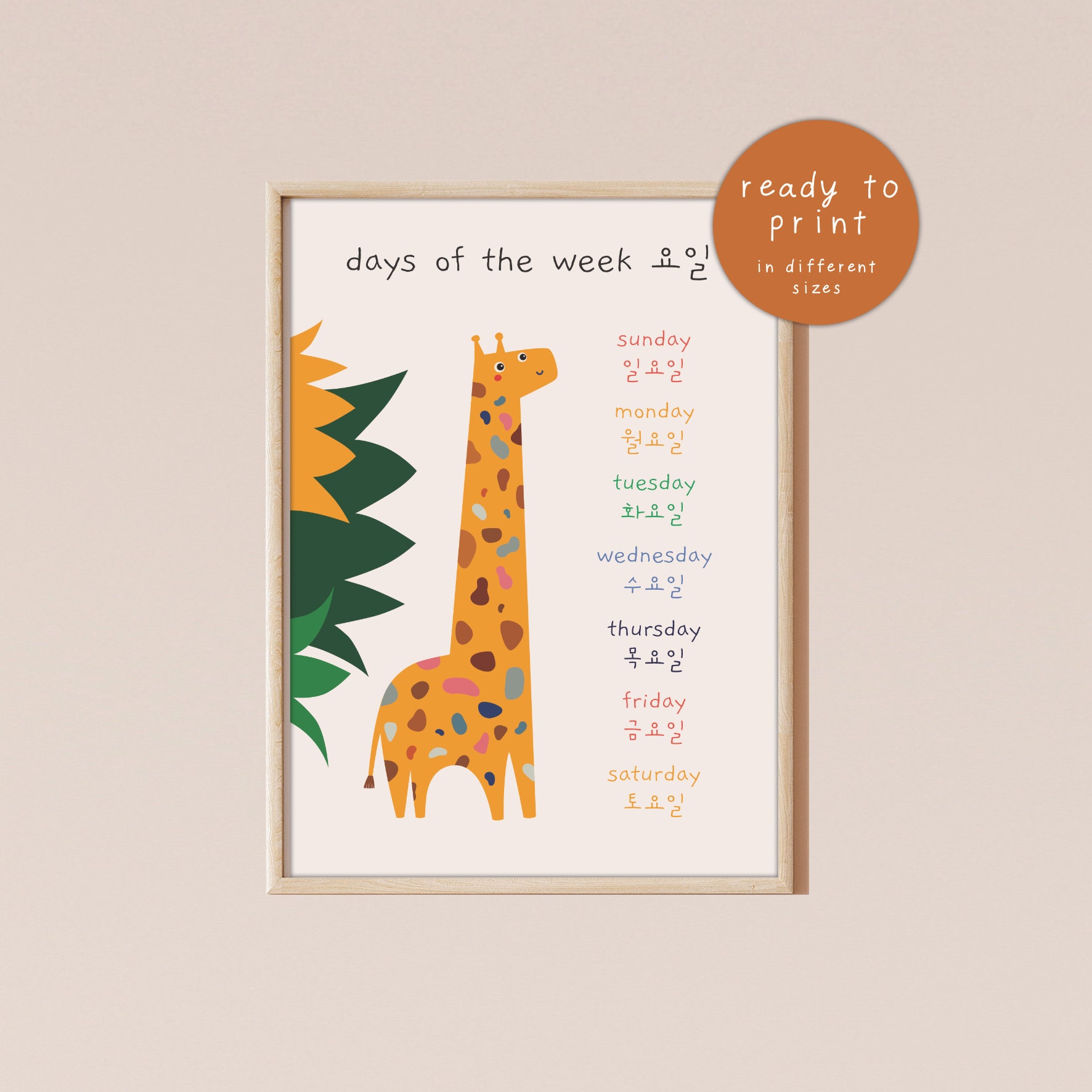 5 Bilingual Korean Educational Posters, Korean Learning Posters, Set of ...