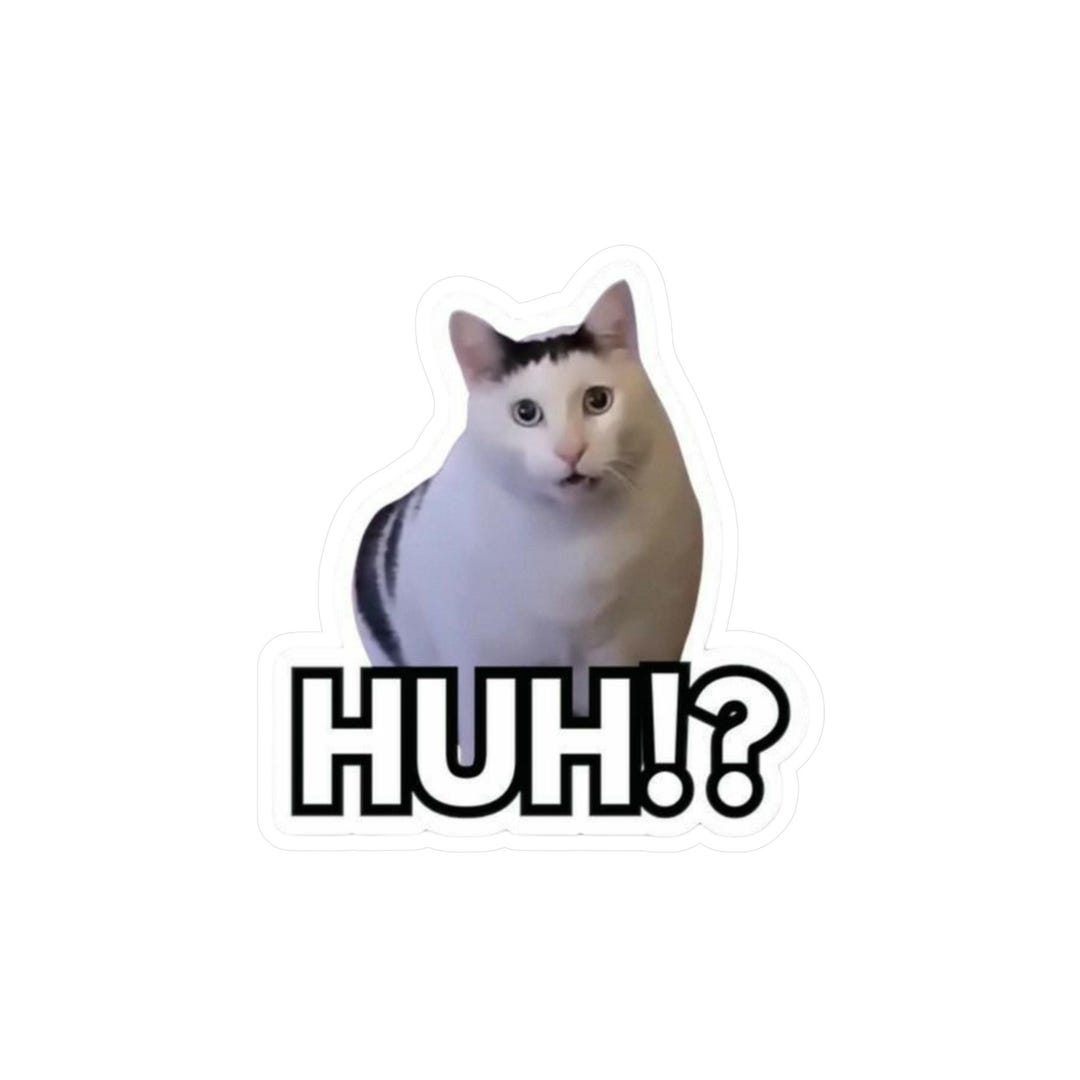 Surprised Cat HUH!? Kiss-cut Vinyl Decal | Funny Meme Sticker - Etsy