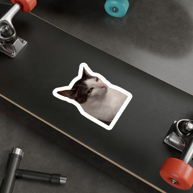 Grumpy Cat Face Sticker Kiss-cut Vinyl Decal | Meme Cat - Etsy